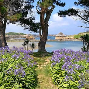 Book even cheaper flights with eDreams Prime